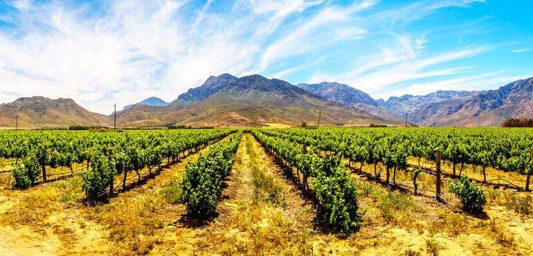 Explore Stunning Wine Country in Cottonwood, Arizona: Your Ultimate ...